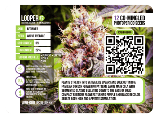 Looper (R) Regular Seeds | North Atlantic Seed Co.