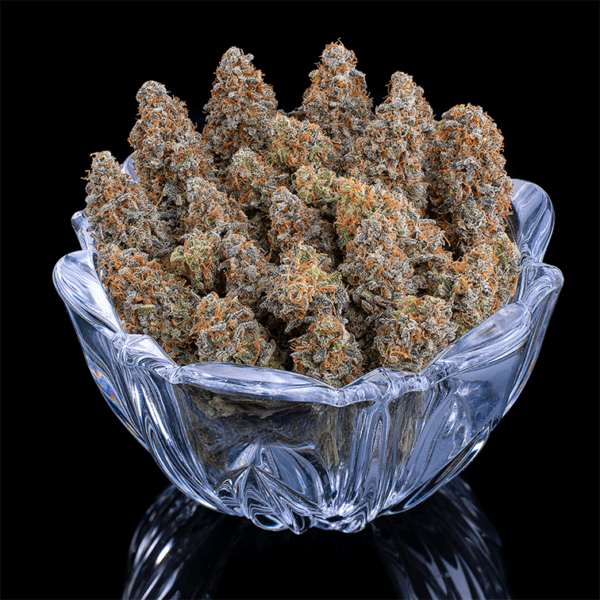 G13 Genius (F) – Buy Cannabis Seeds Online | North Atlantic Seed Co.