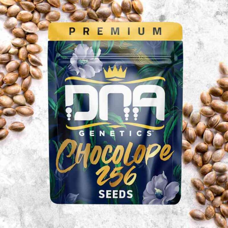 DNA Genetics – Cannabis Seeds for Sale | North Atlantic Seed Co.