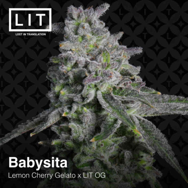 LIT Farms – Buy Cannabis Seeds Online | North Atlantic Seed Co.