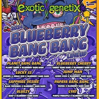 Exotic Genetix – Buy Cannabis Seeds Online | North Atlantic Seed Co.