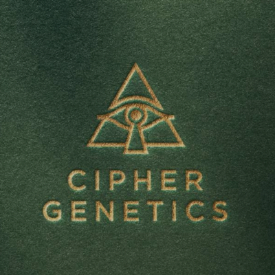 Cipher Genetics – Cannabis Seeds for Sale | North Atlantic Seed Co.