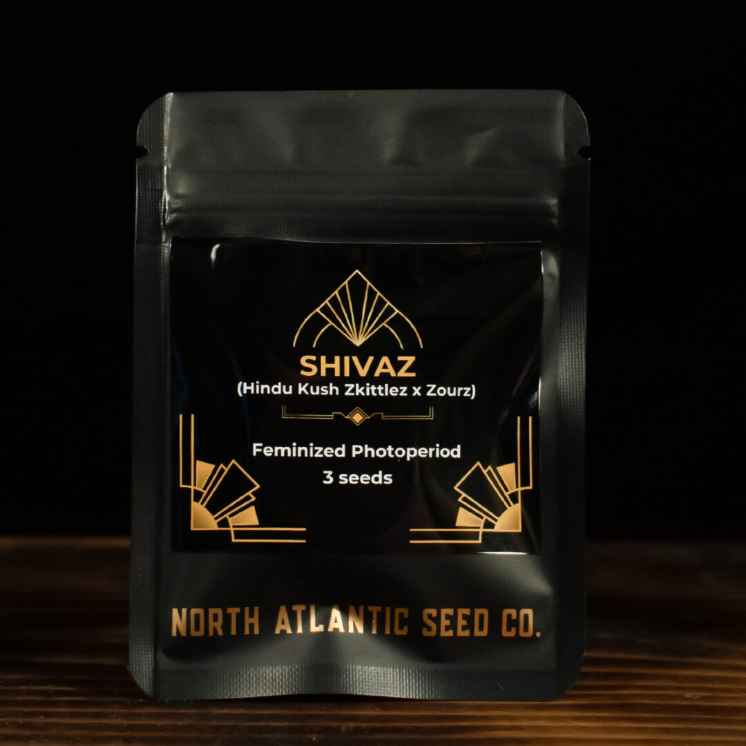 Shivaz (F) – Cannabis Seeds for Sale | North Atlantic Seed Co.