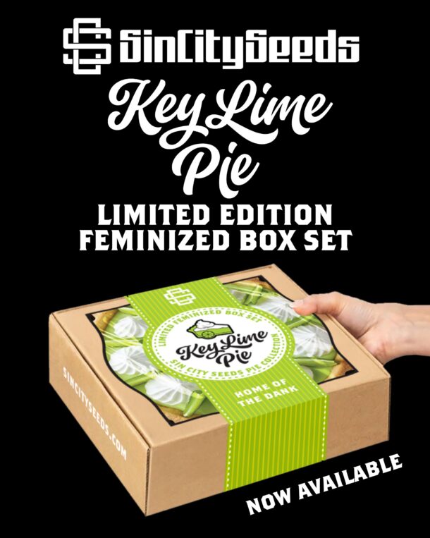 Key Lime Pie Box Set (F) Seeds | North Atlantic Seed Co.