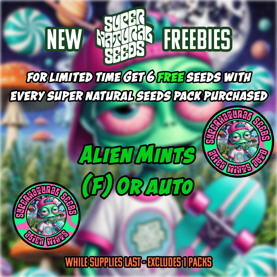 Super Natural Seeds – Buy Cannabis Seeds Online | North Atlantic Seed Co.