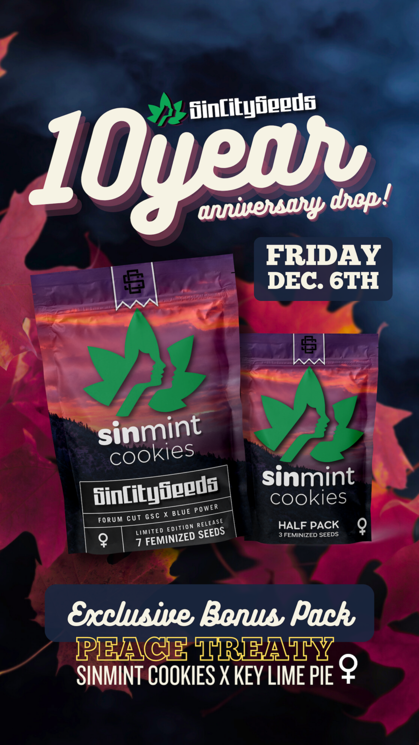 SinMint Cookies F1 (F) – Buy Cannabis Seeds Online | North Atlantic ...