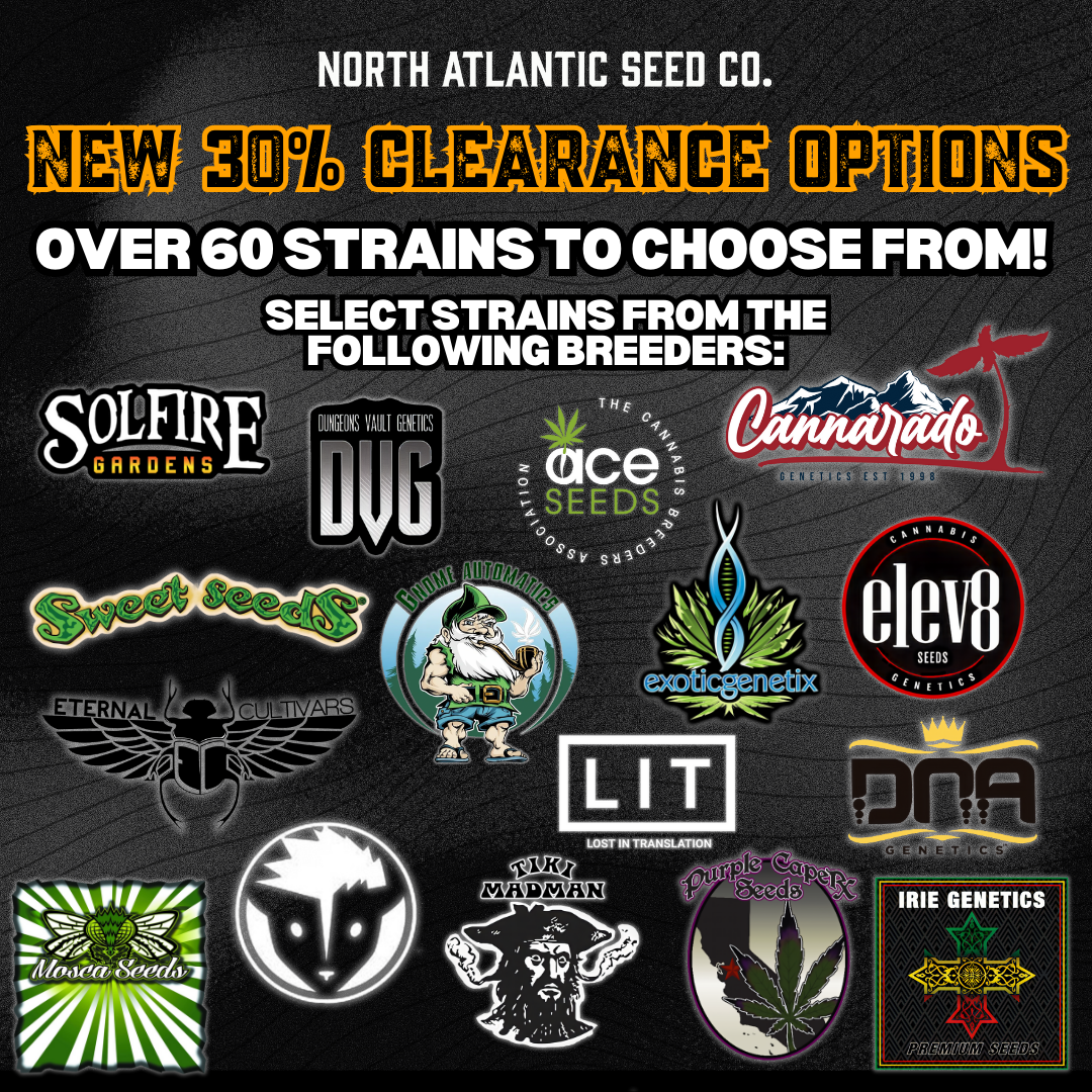 Clearance 30% Off – Buy Cannabis Seeds Online | North Atlantic Seed Co.