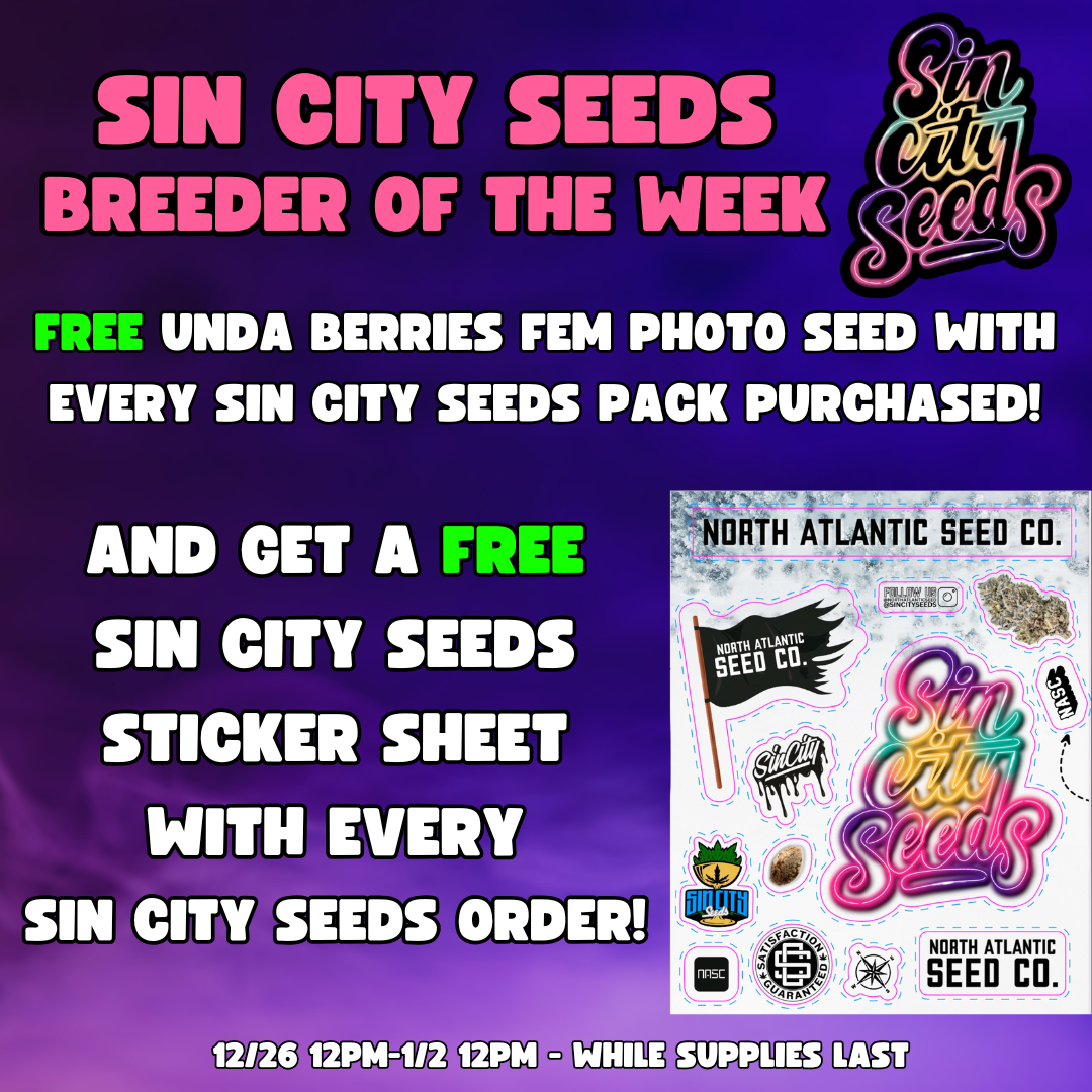 Sin City Seeds – Buy Cannabis Seeds Online | North Atlantic Seed Co.