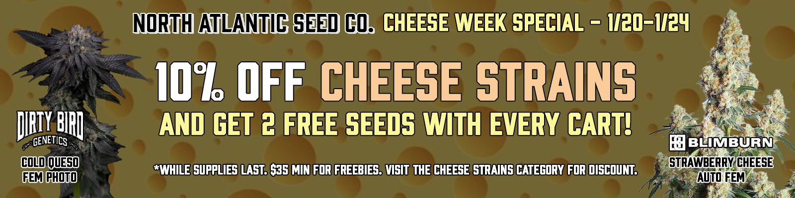 Cannabis Seeds for Sale | North Atlantic Seed Co. – Premium Cannabis ...