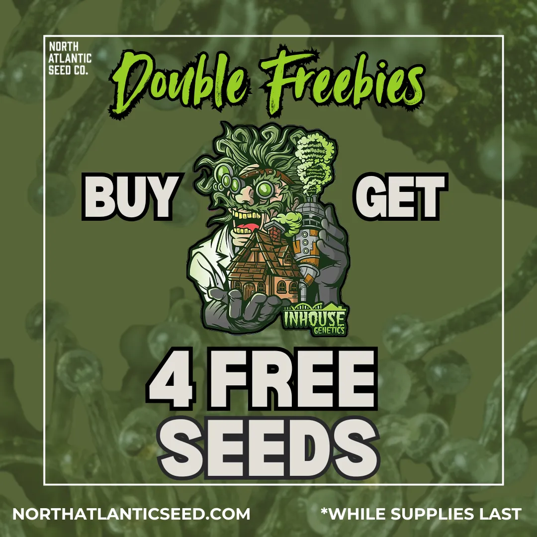 In House Genetics – Buy Cannabis Seeds Online | North Atlantic Seed Co.