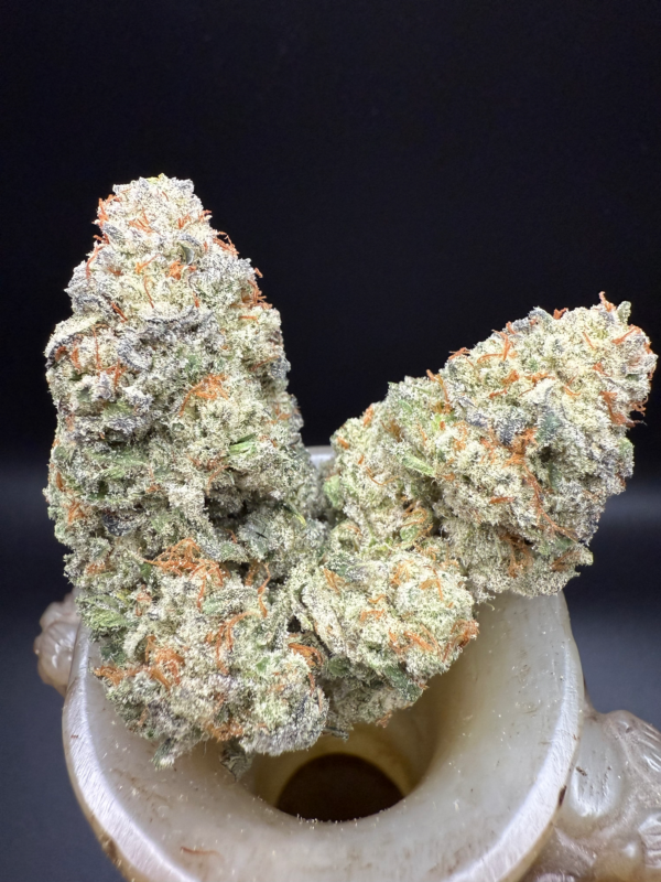 Raspberry Chiesel AKA Moon Diesel (R) – Buy Cannabis Seeds Online ...