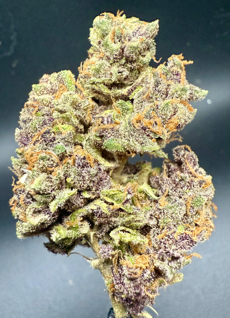 Lunar Skunk (F) – Buy Cannabis Seeds Online | North Atlantic Seed Co.